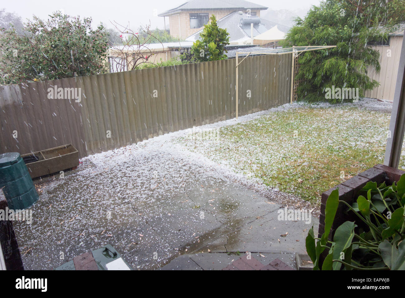 Hail Storm in back yard in Perth, Western Australia Stock Photo - Alamy