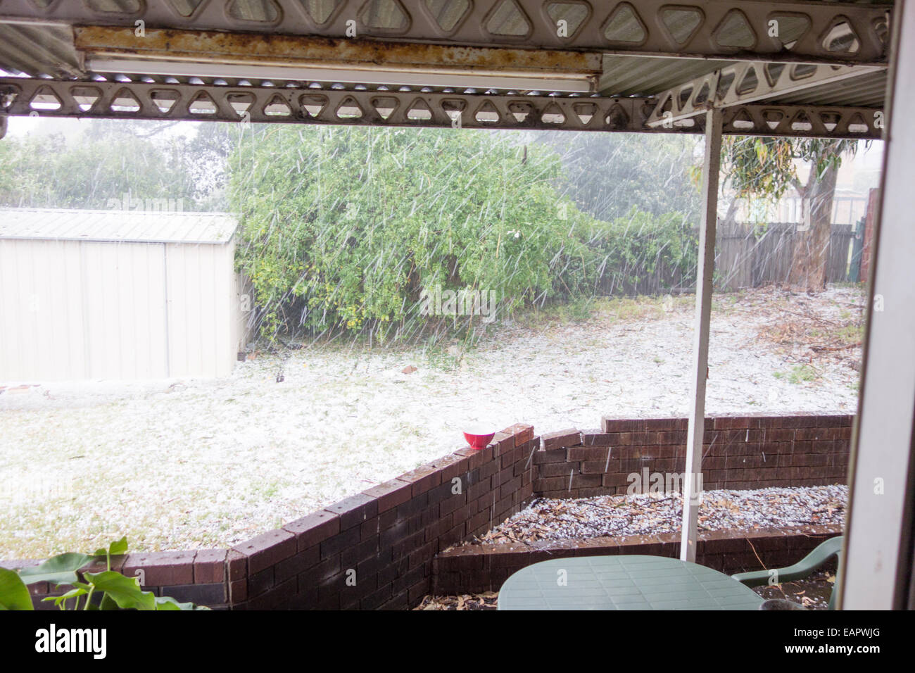 Hail Storm in back yard in Perth, Western Australia Stock Photo - Alamy