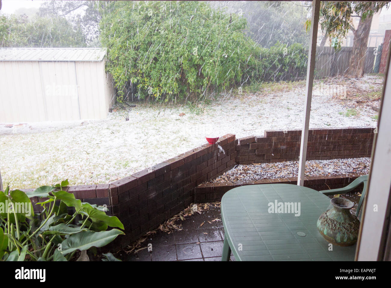 Hail Storm in back yard in Perth, Western Australia Stock Photo - Alamy