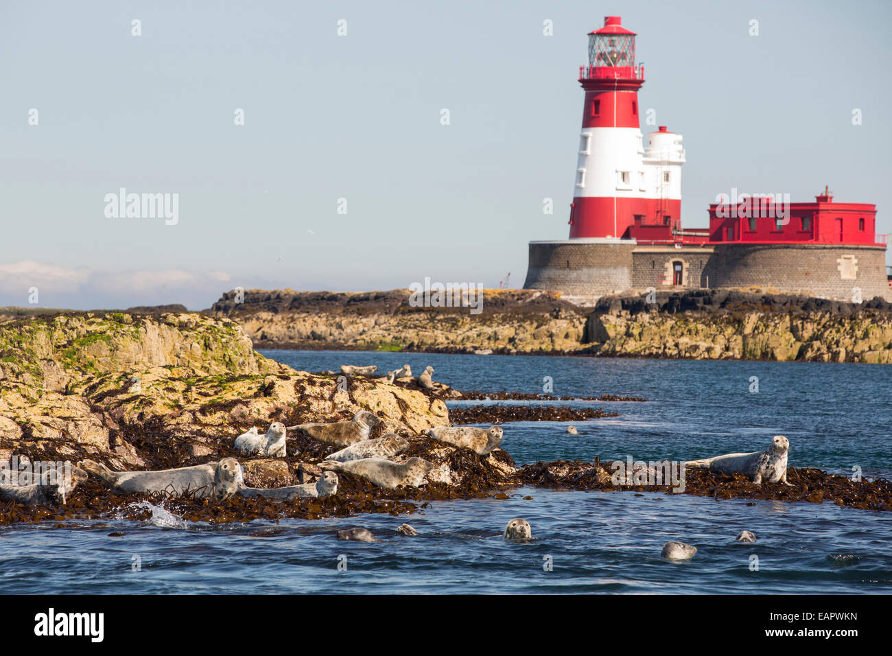 Longstone rocks hi-res stock photography and images - Alamy