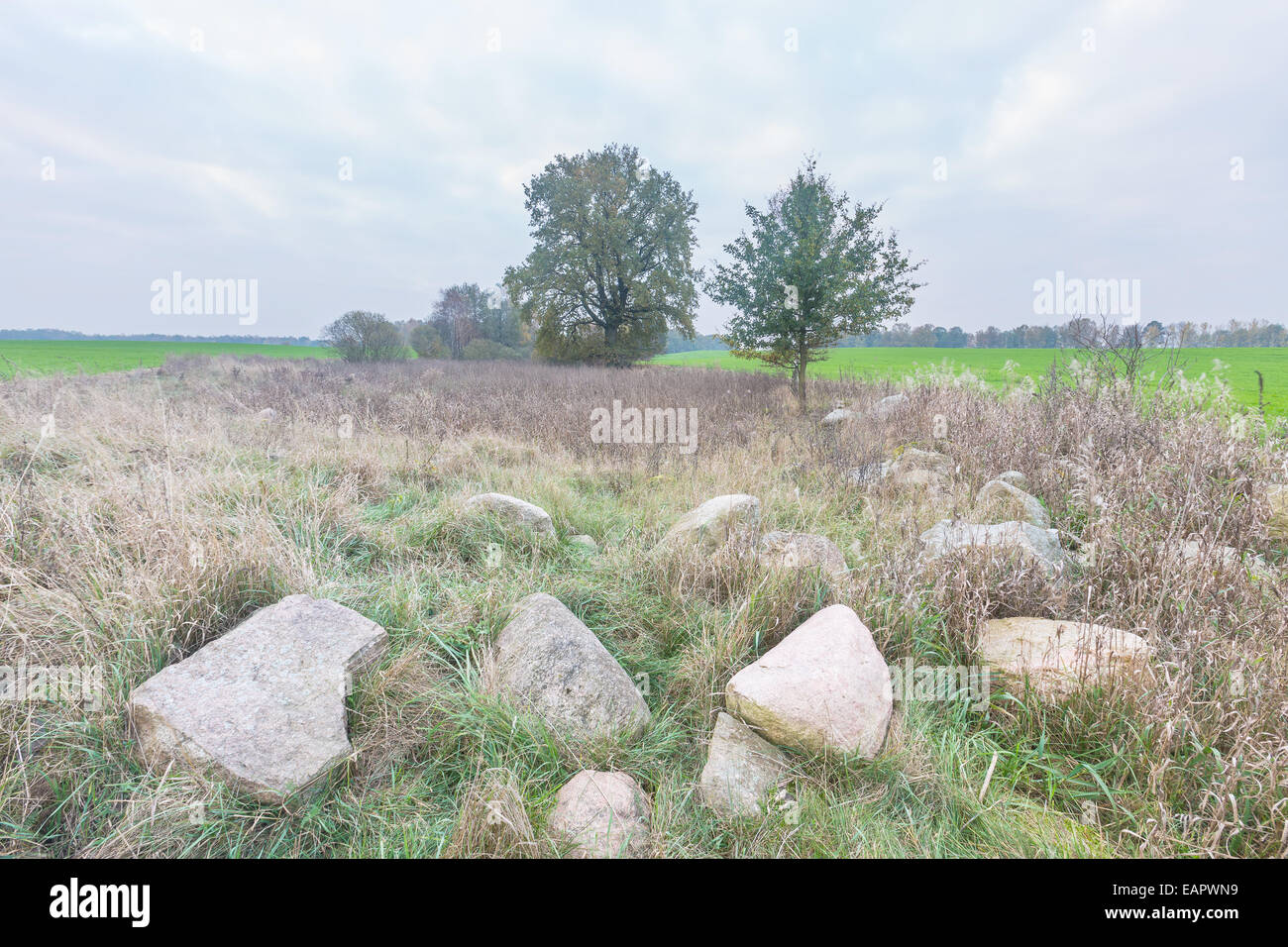 Stony field landscape Stock Photo - Alamy