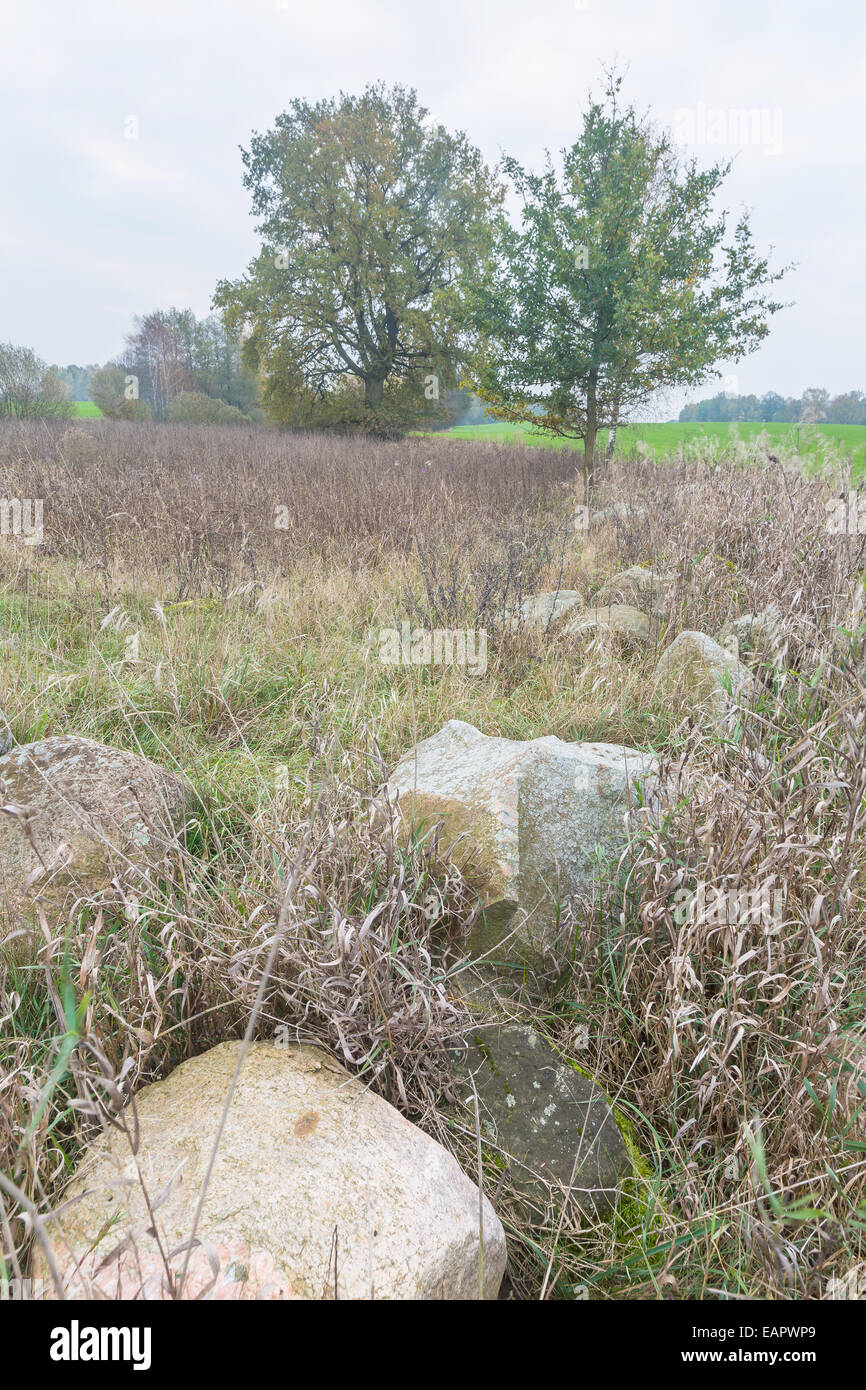 Stony field landscape Stock Photo - Alamy