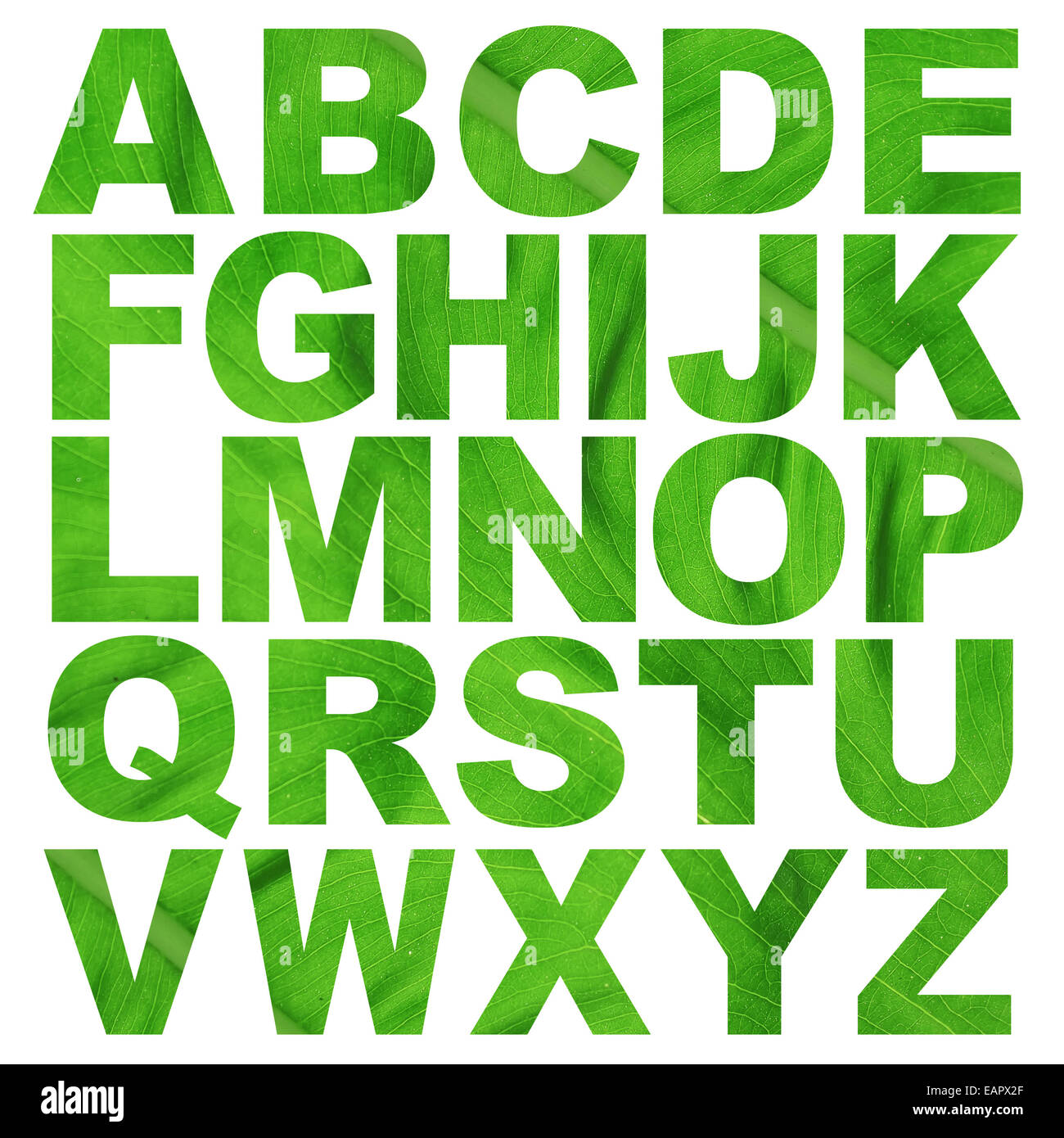 Alphabet A To Z Made From Leaf Texture Picture Stock Photo Alamy Alphabet A To Z Made From Leaf Texture Picture Stock Photo Alamy