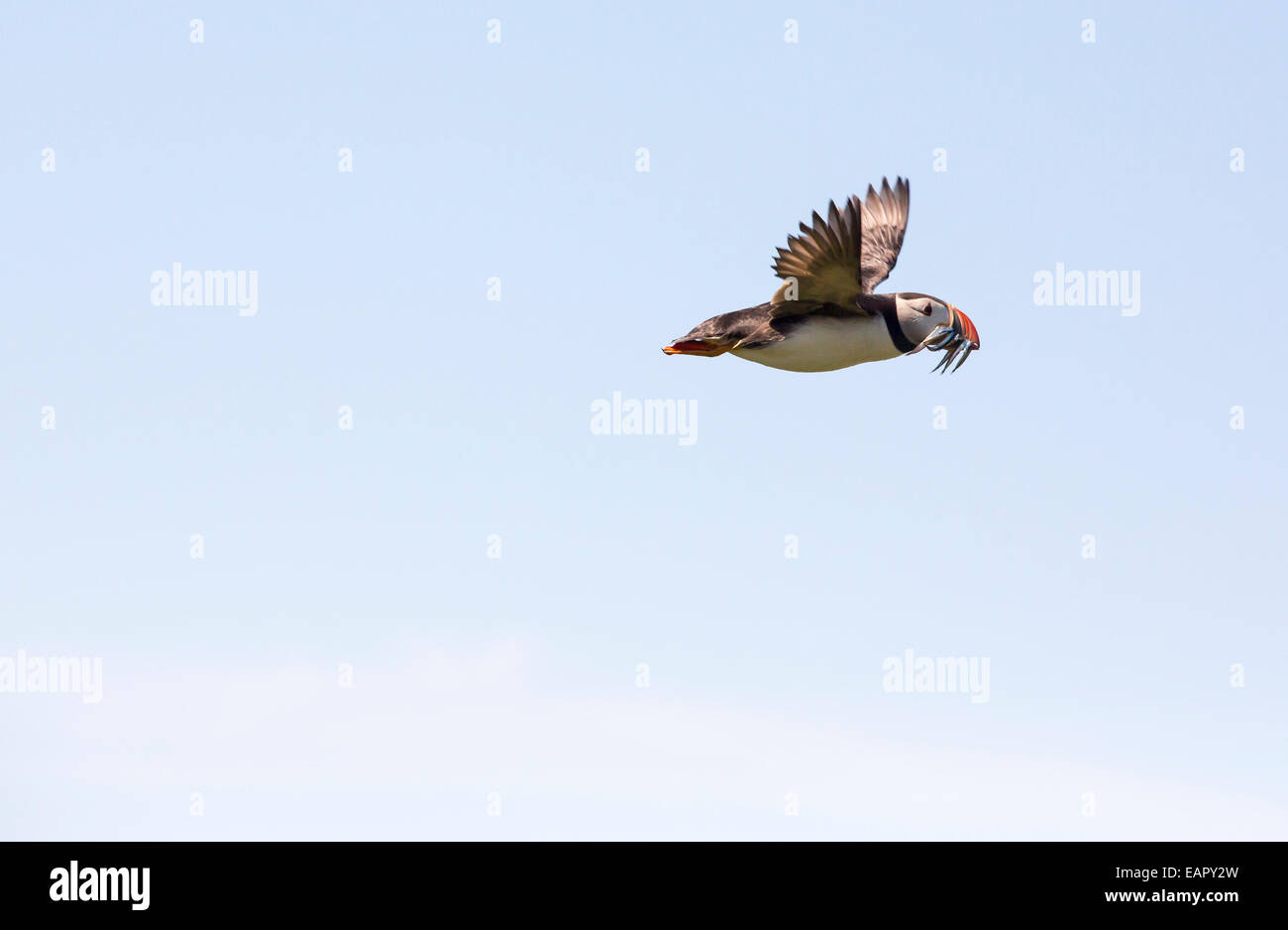 North sanctuary Cut Out Stock Images & Pictures - Alamy