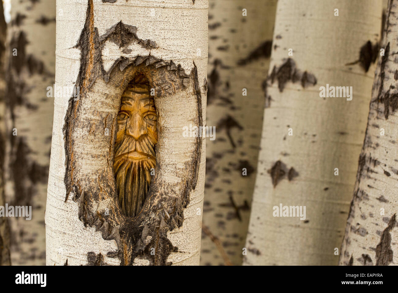 Spirit in the Tree Stock Photo - Alamy