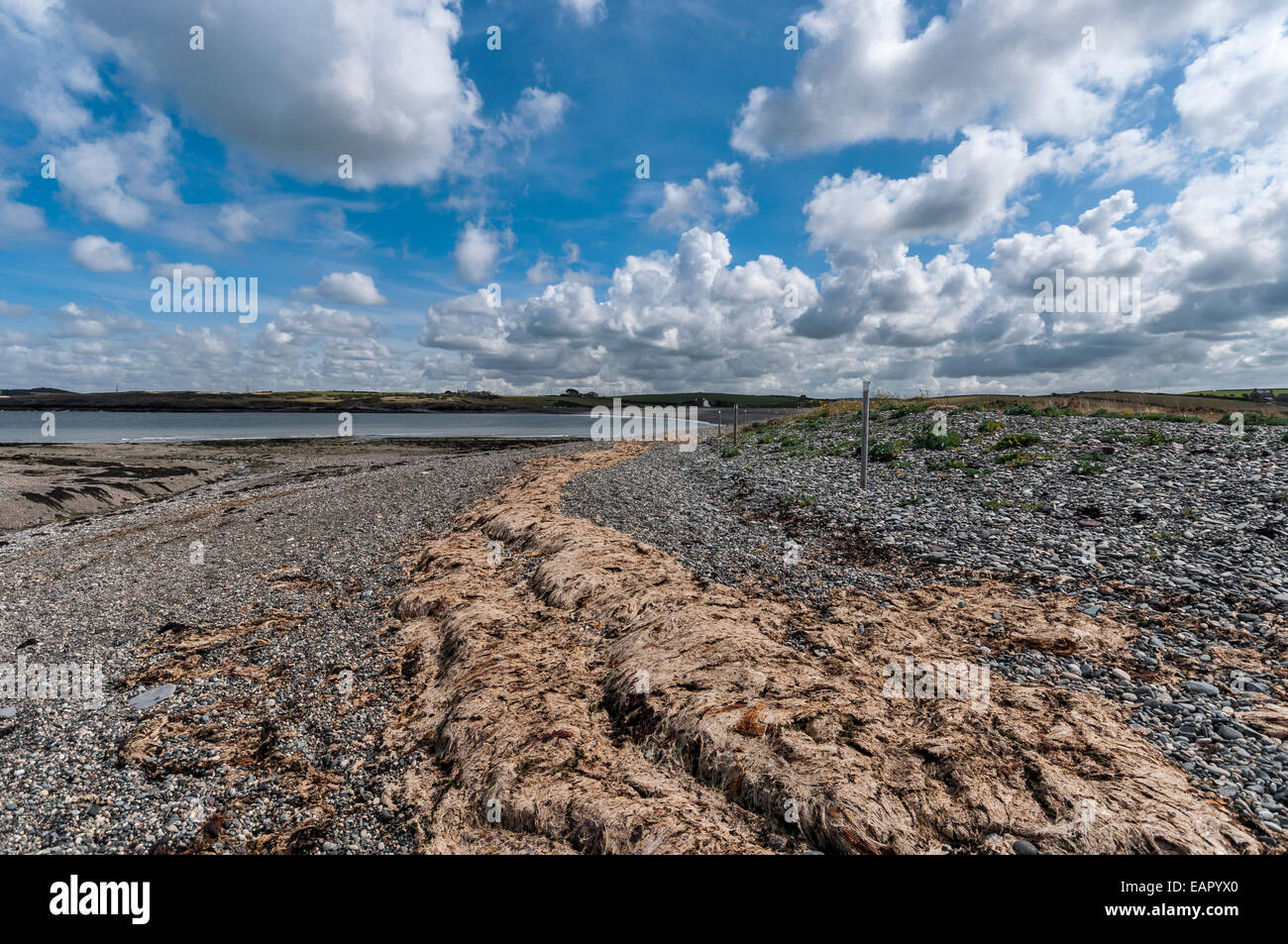 Esgair cemlyn hi-res stock photography and images - Alamy