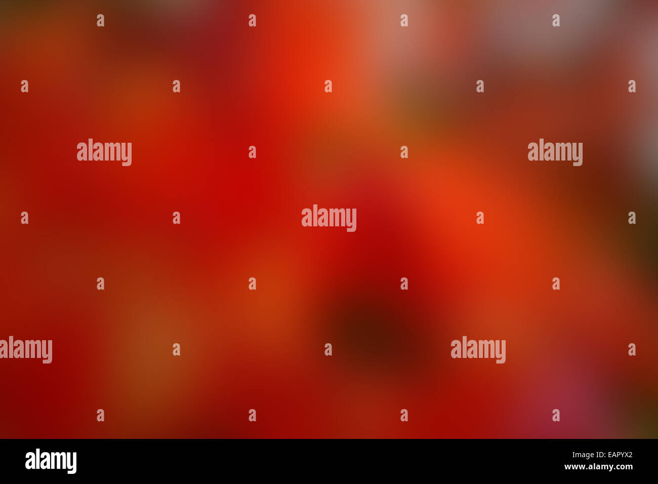 Website Background Blurry