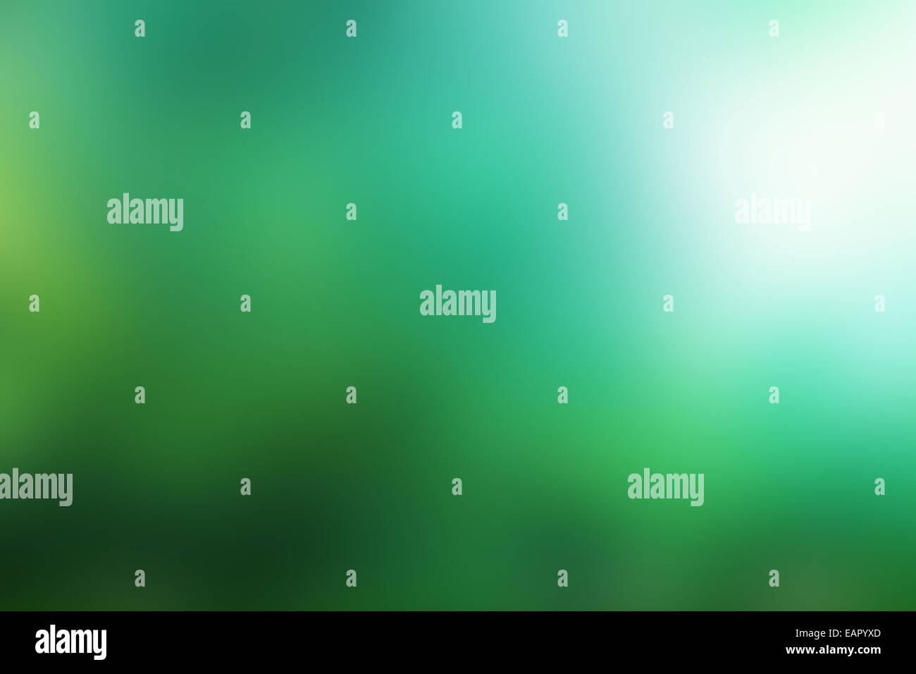 Abstract green blured color gradient background hi-res stock ...