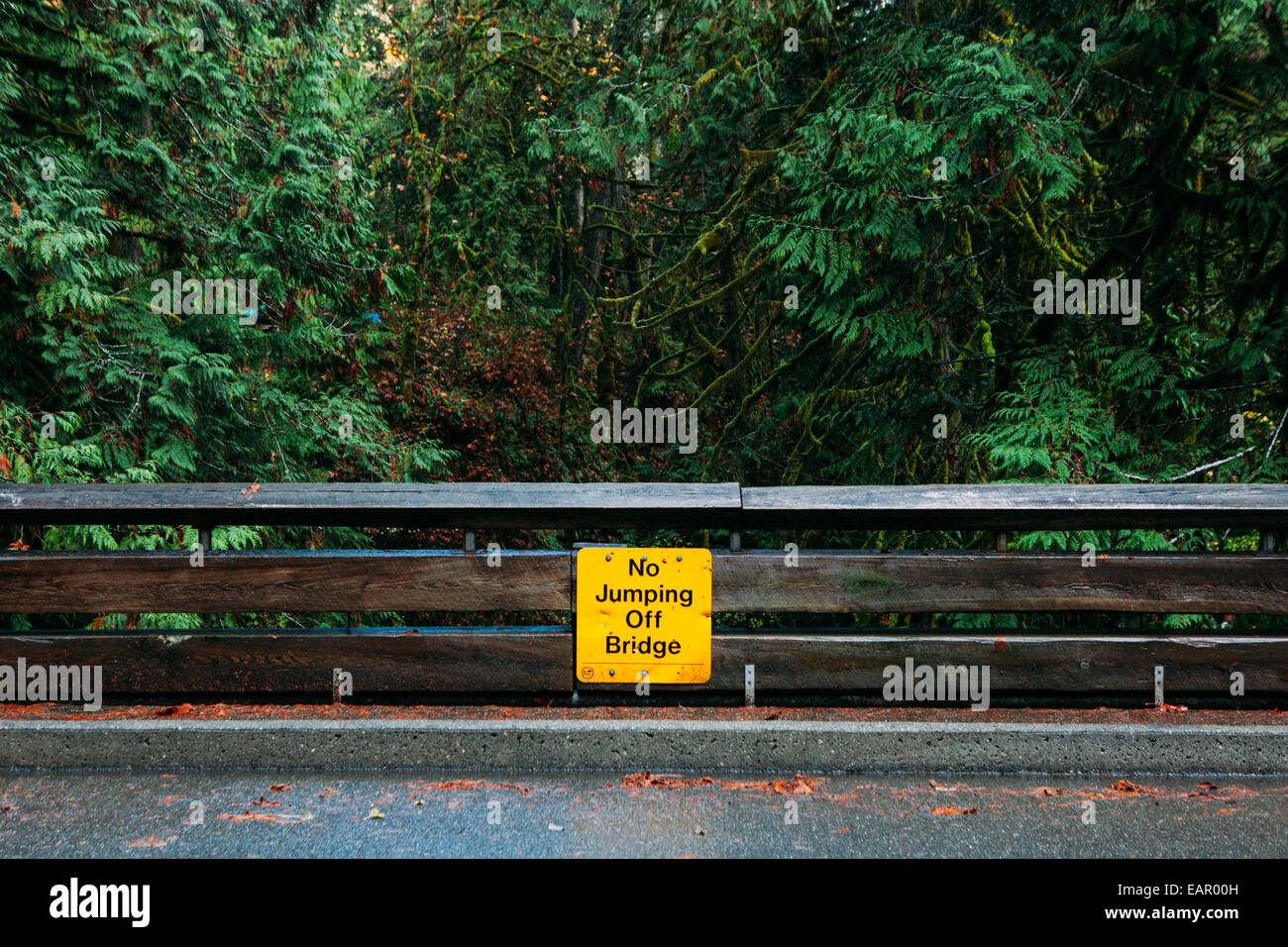 No jumping sign on a bridge in Goldstream Park BC Stock Photo - Alamy