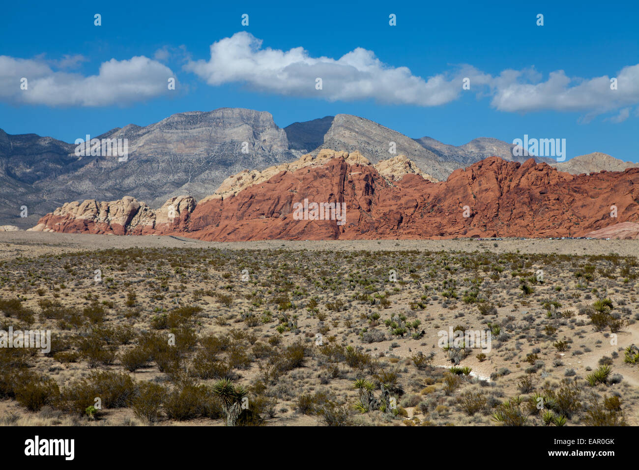 Red Rock Canyon National Conservation Area, Las Vegas, Nevada Stock ...