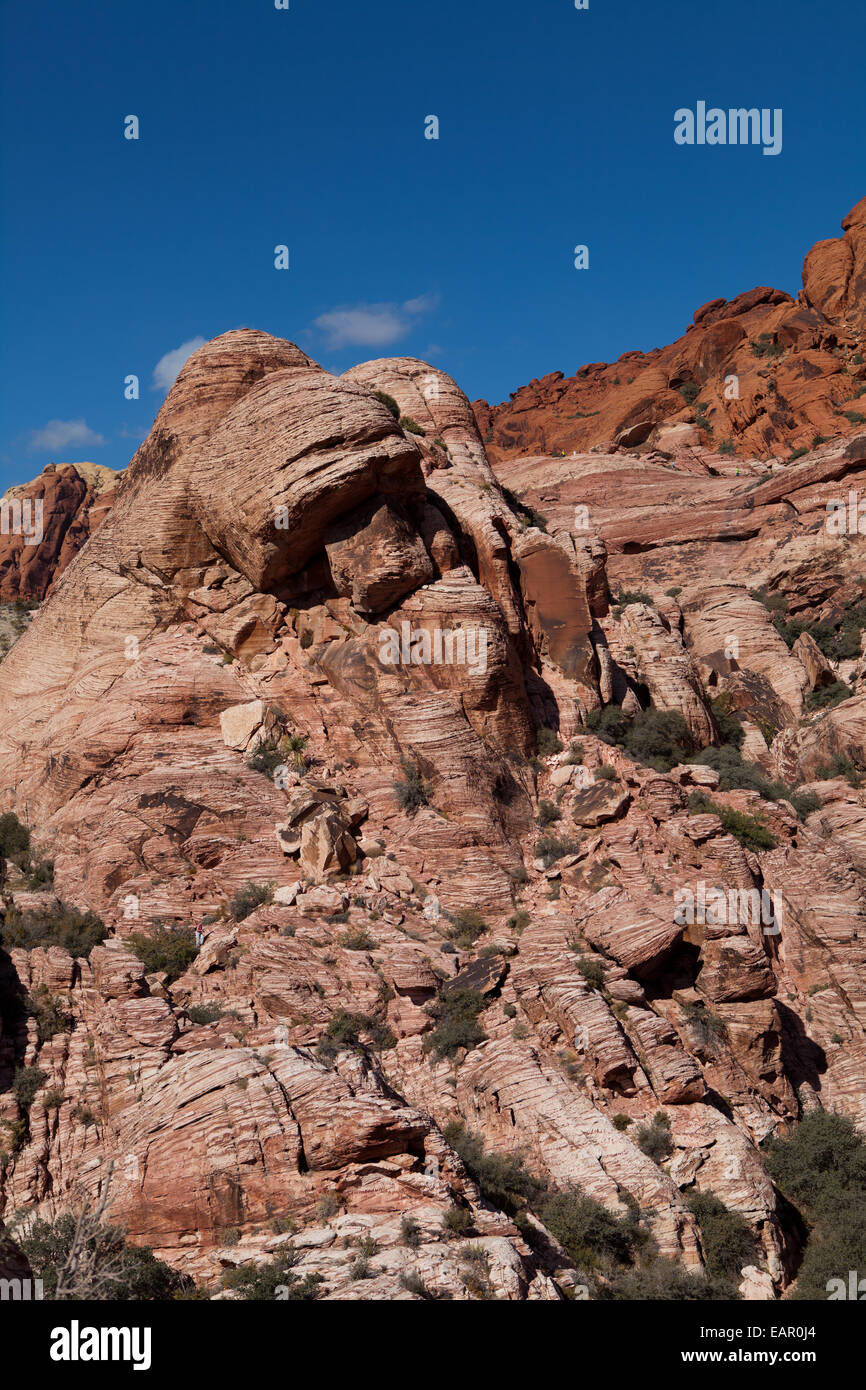 Red Rock Canyon National Conservation Area, Las Vegas, Nevada Stock ...