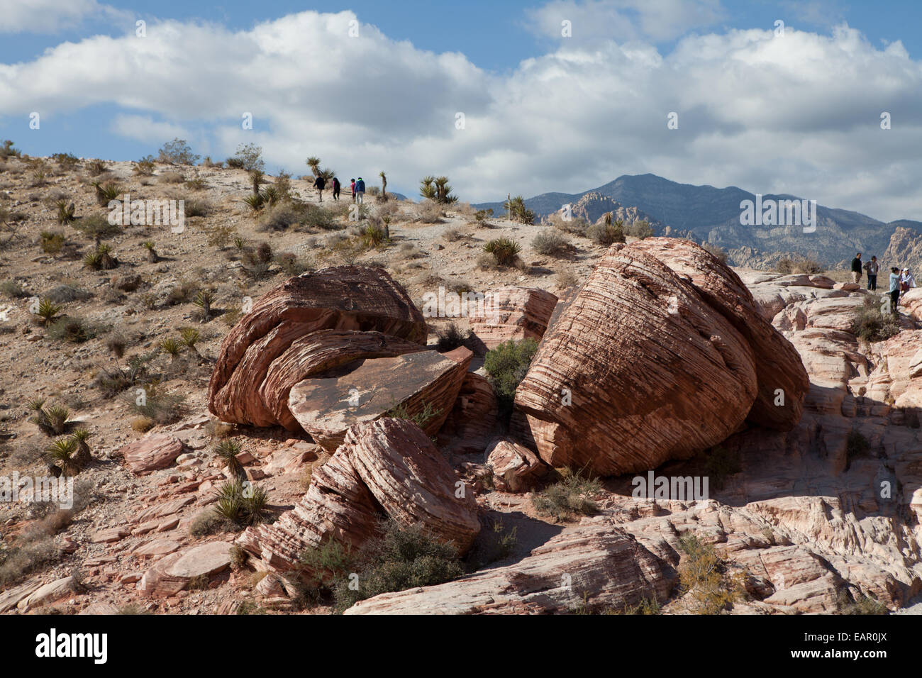 Red Rock Canyon National Conservation Area, Las Vegas, Nevada Stock ...