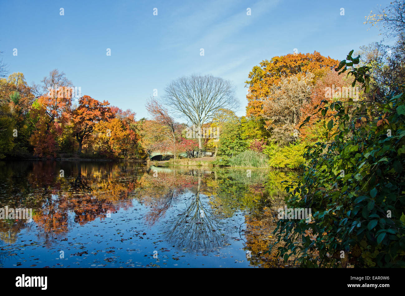 Prospect Park Parks Brooklyn New York City High Resolution Stock ...