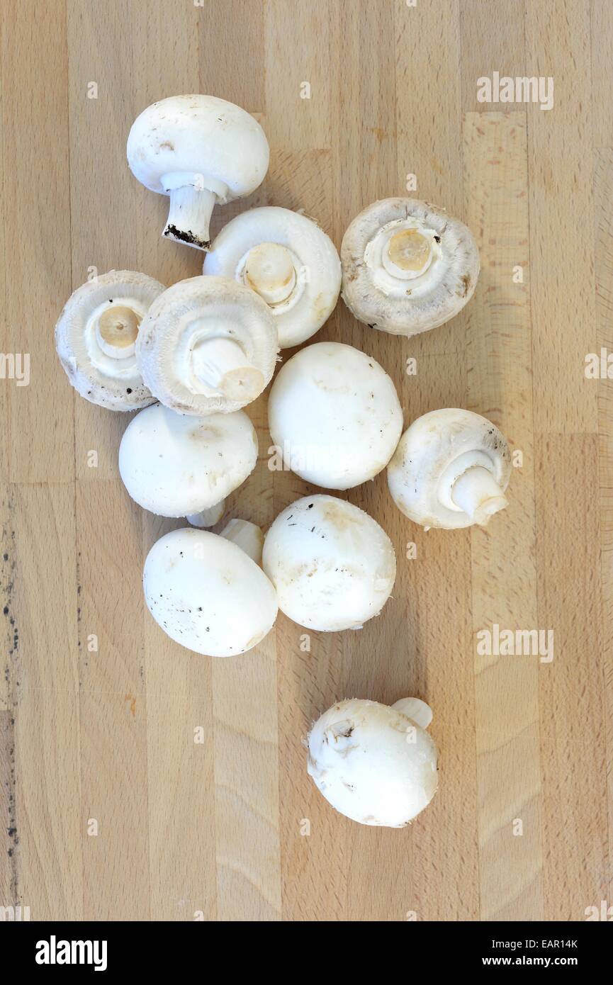 A close up shot of button mushrooms Stock Photo - Alamy