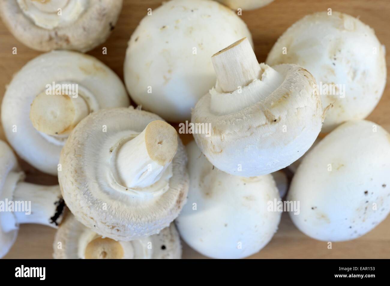 A close up shot of button mushrooms Stock Photo - Alamy