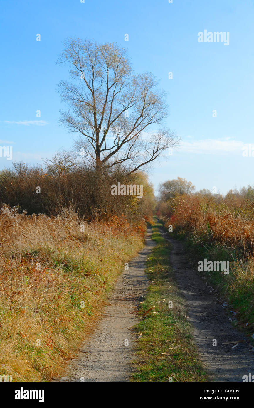 Bush rural road hi-res stock photography and images - Alamy