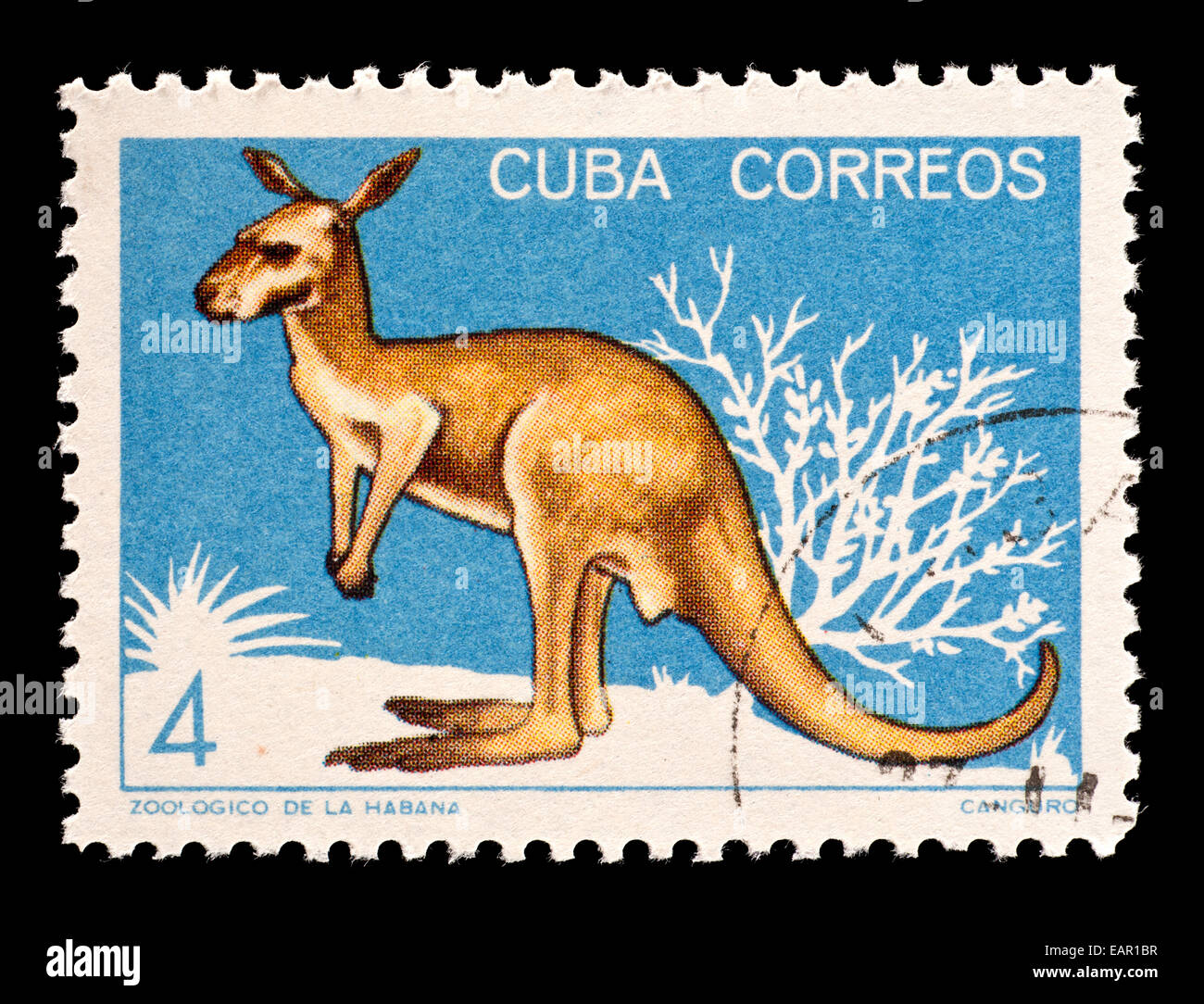 Postage stamp from Cuba depicting a kangaroo, issued for the Havana zoo ...