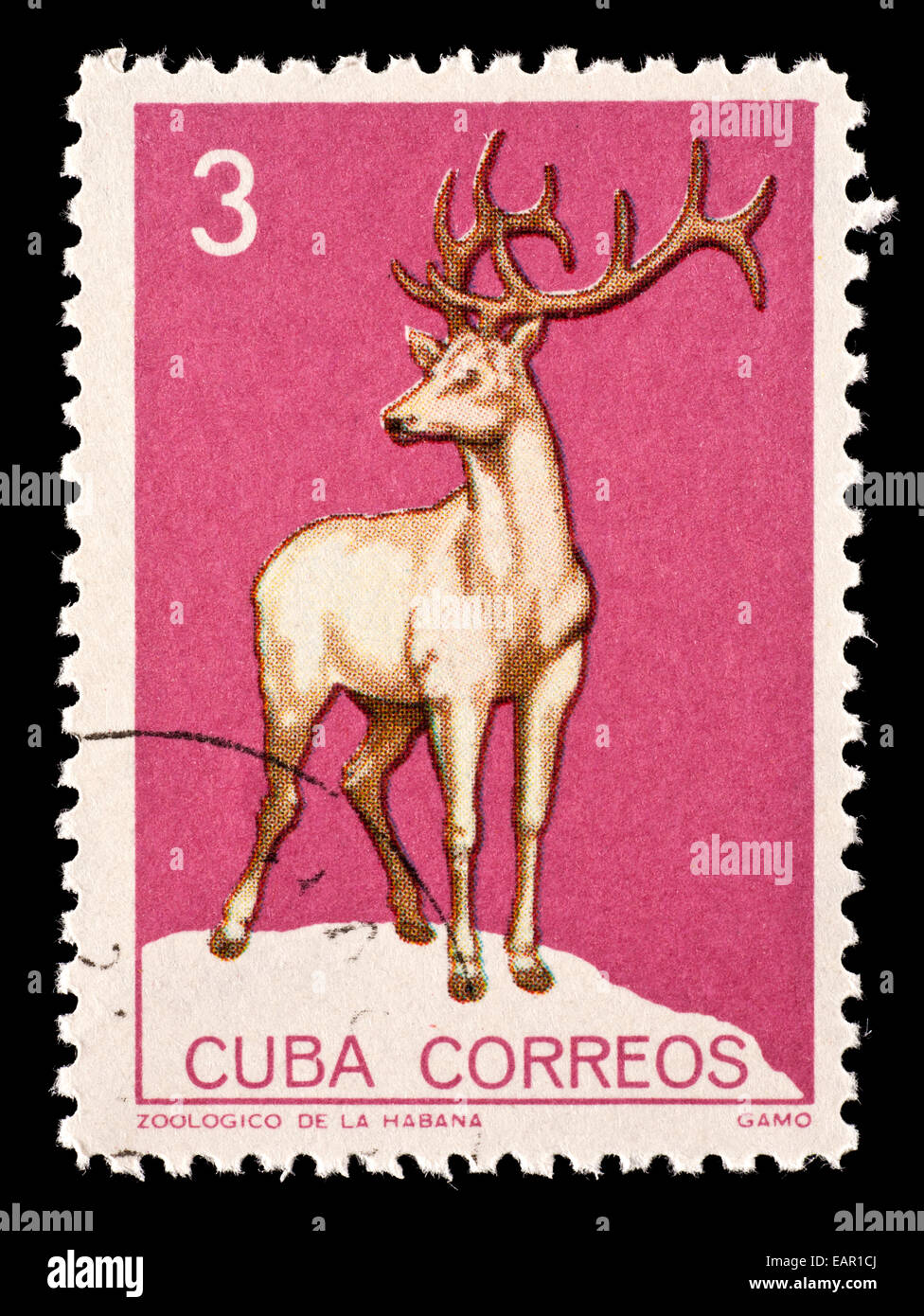 Postage stamp from Cuba depicting a deer species, issued for the Havana ...