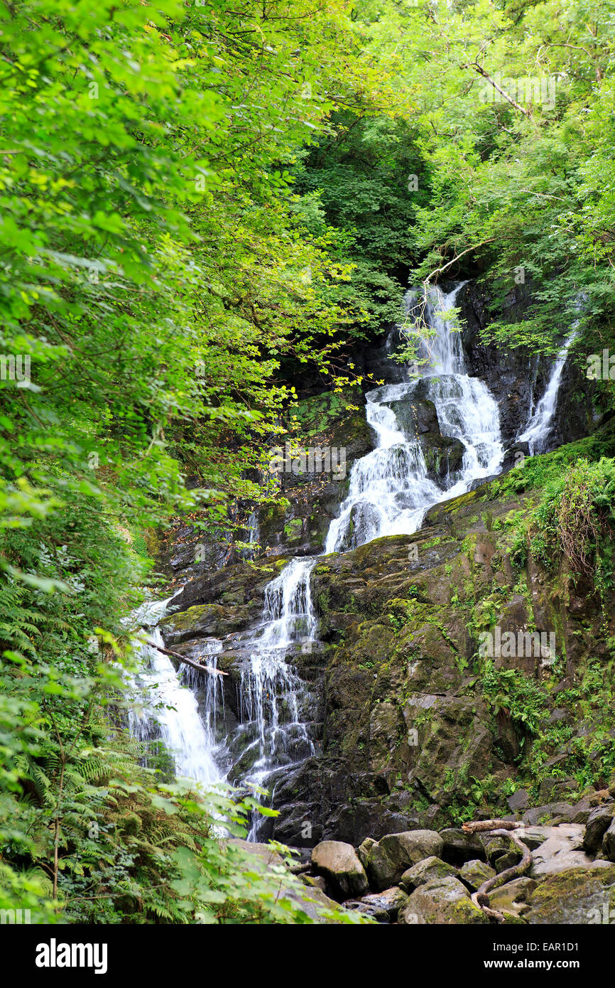 Torc Waterfall in Killarney National Park Stock Photo - Alamy