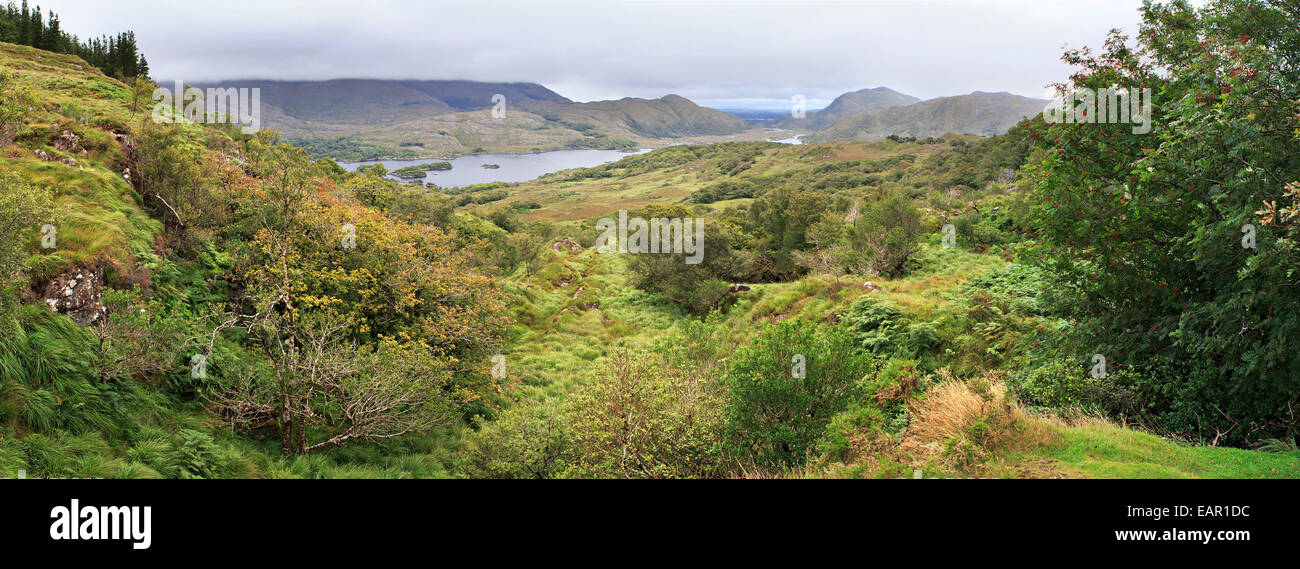 Beautiful panorama of Ladies View Stock Photo - Alamy