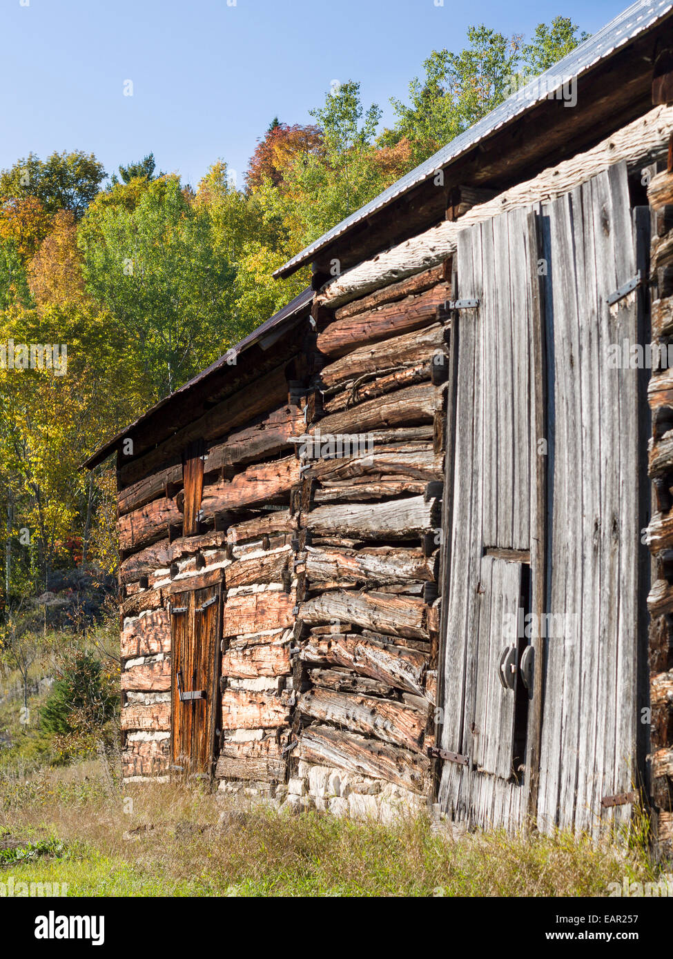 Log Barns with fall colours. Two 19th century log barns lit by the ...