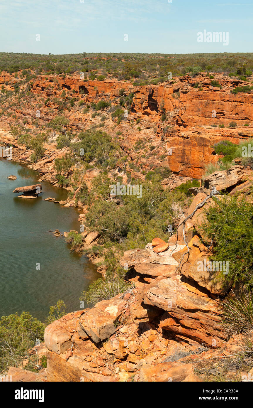 Murchison River from Hawks Head in Kalbarri NP, WA, Australia Stock ...