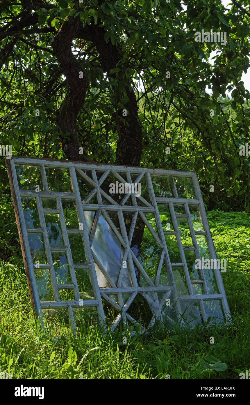 Trellised tree hi-res stock photography and images - Alamy