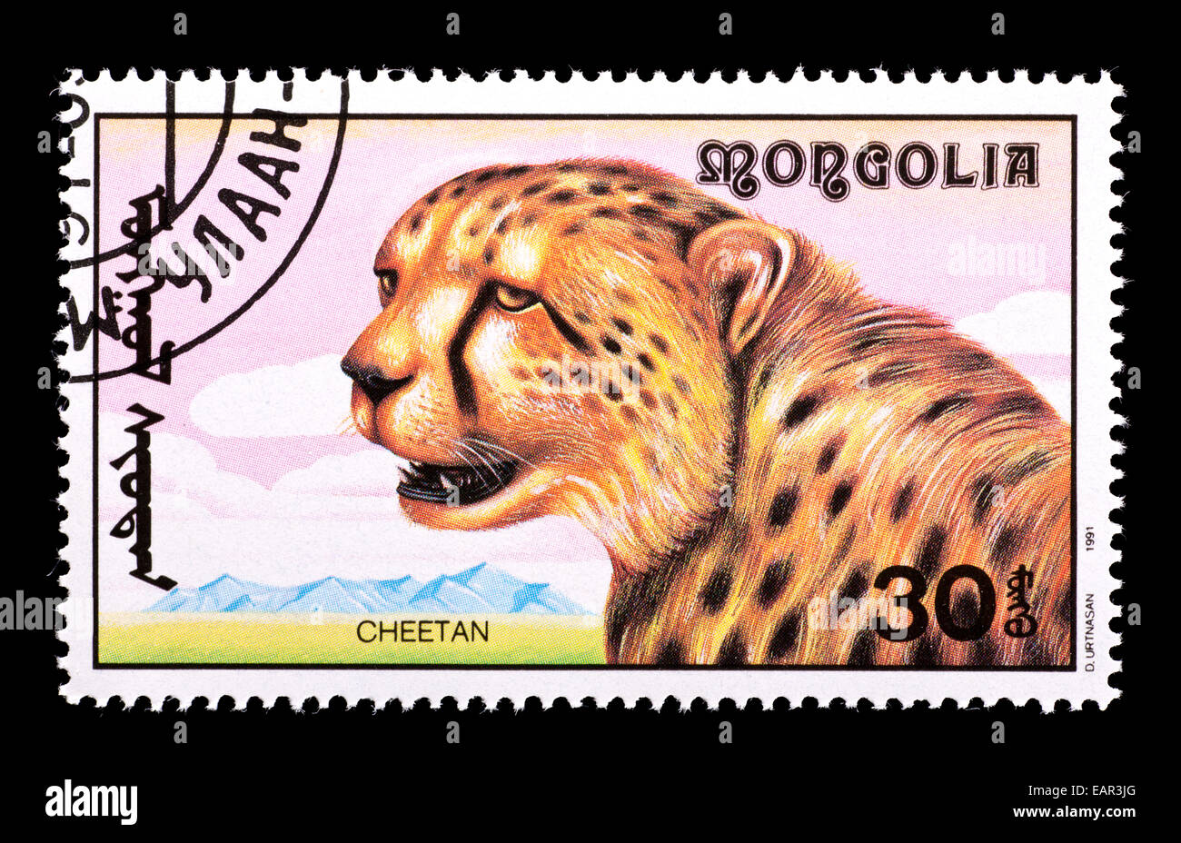 Cheetah acinonyx jubatus postage stamp hi-res stock photography and ...