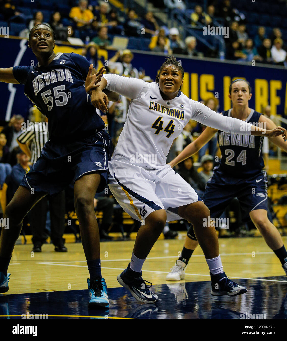 Berkeley CA. 18th Nov, 2014. California Bears F # 44 KC Waters battle ...