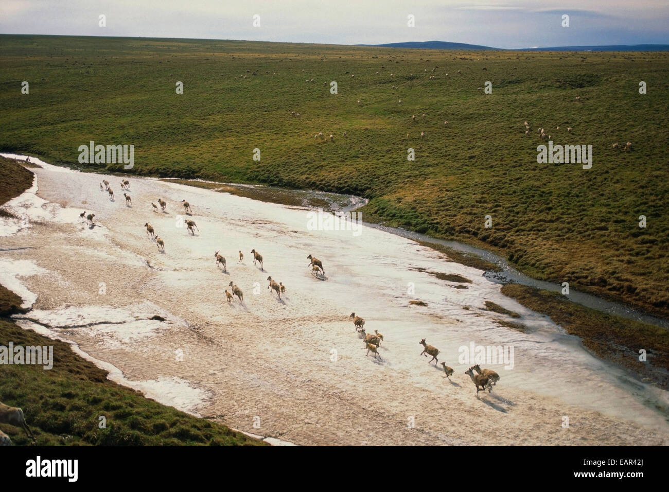 Colville river alaska ice hi-res stock photography and images - Alamy