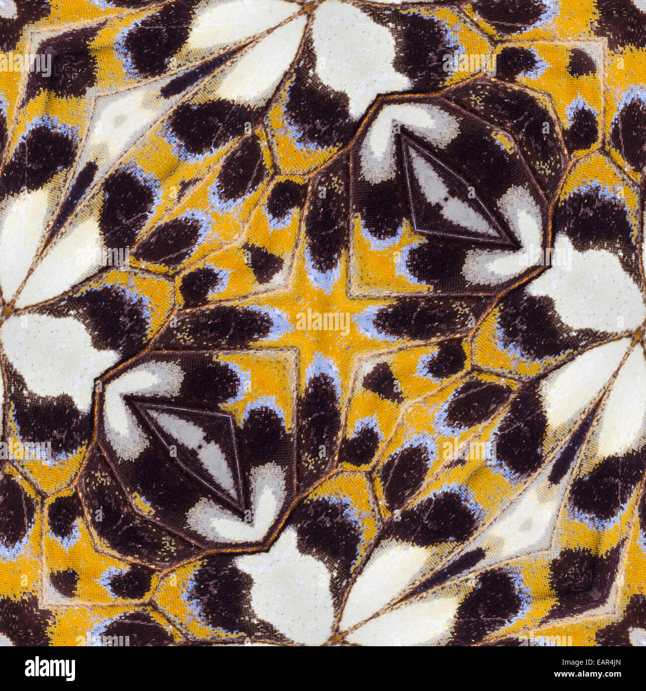 yellow and white butterfly wing pattern decorative design Stock Photo ...
