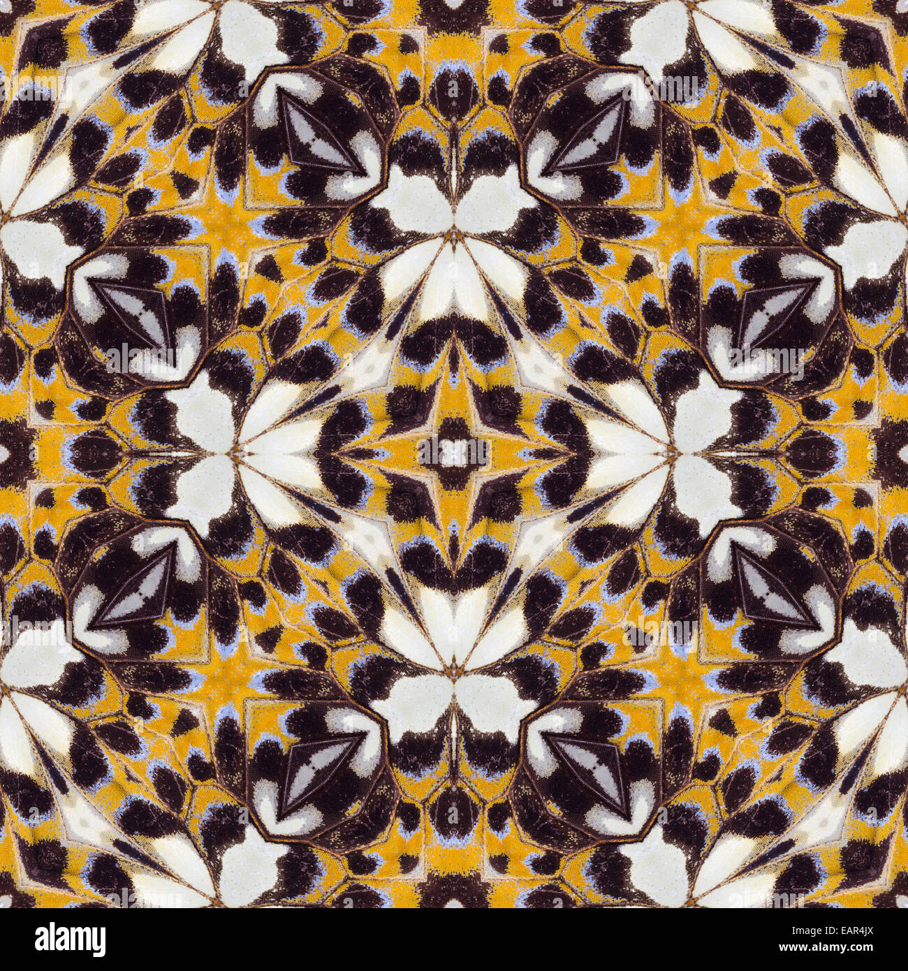 yellow and white butterfly wing pattern decorative design Stock Photo ...