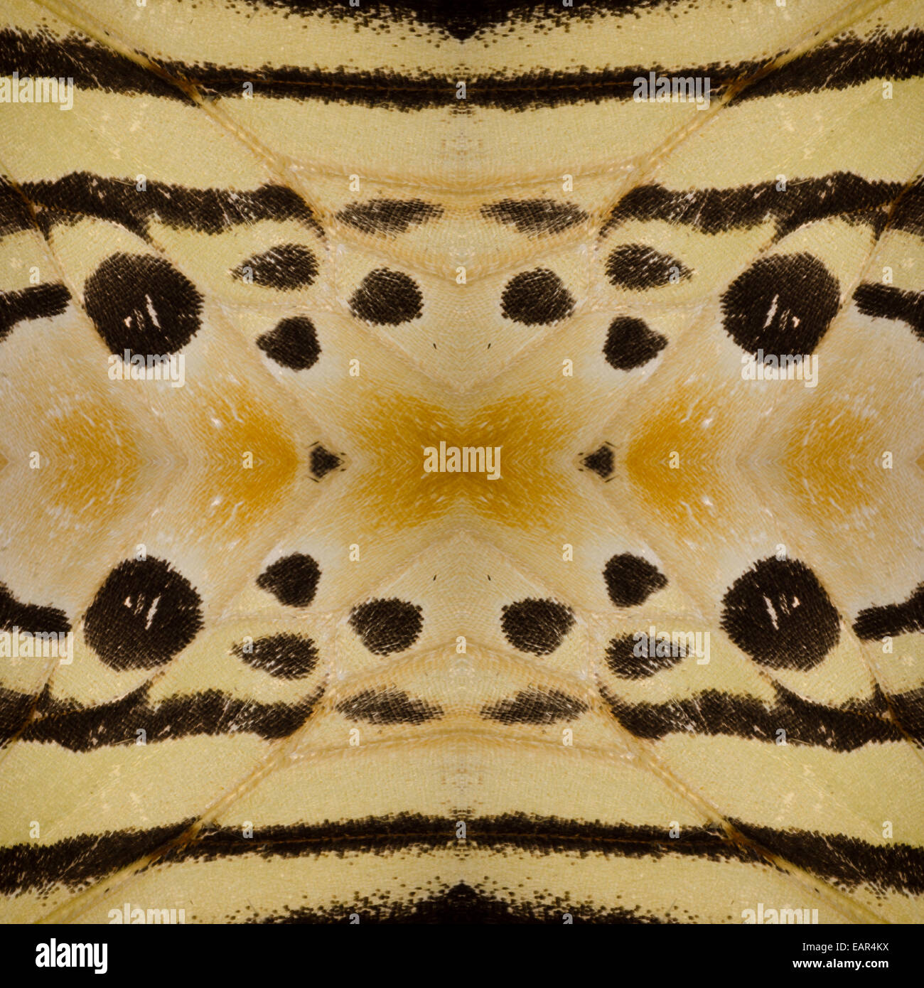yellow butterfly wing pattern decorative design Stock Photo - Alamy