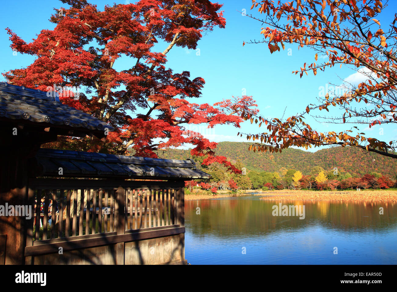 Kyoto Prefecture, Japan Stock Photo - Alamy