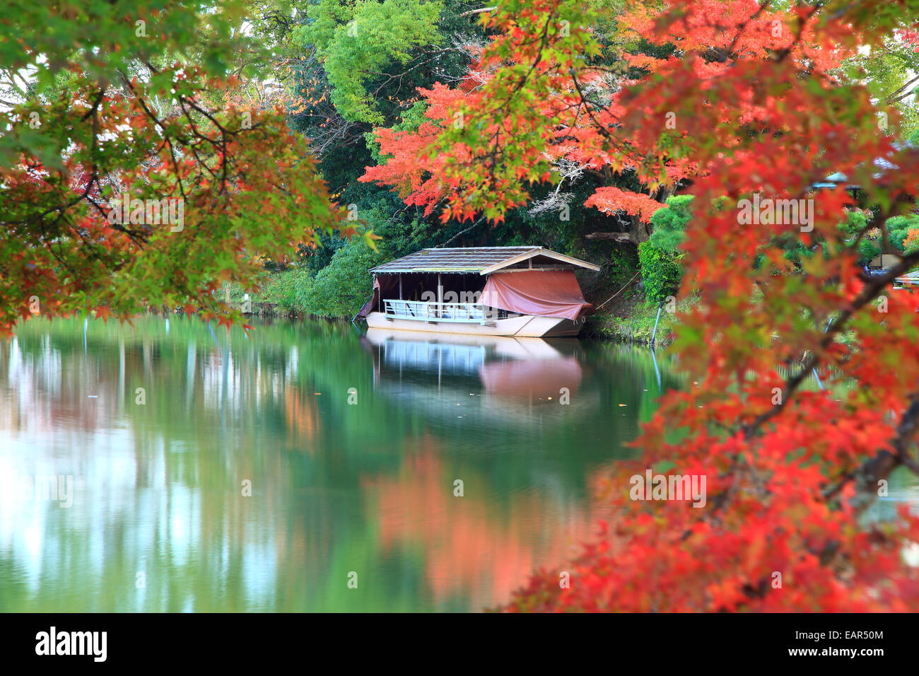 Kyoto Prefecture, Japan Stock Photo - Alamy