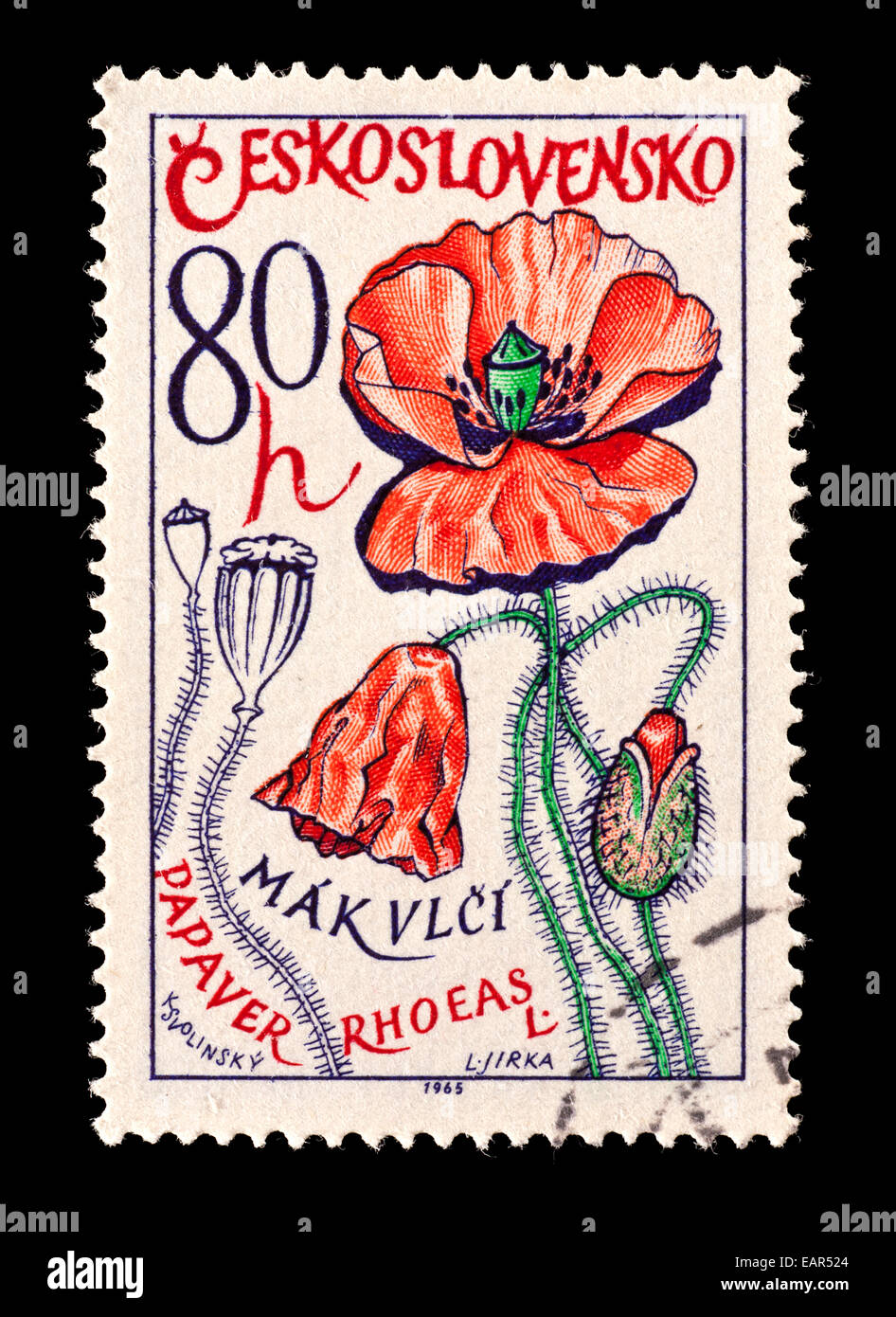 Postage stamp from Czechoslovakia depicting common poppies (Papaver ...