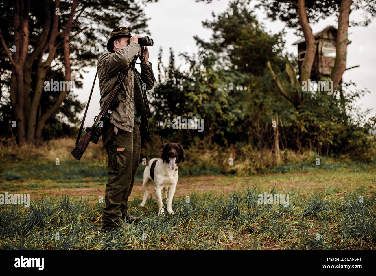 The hunter Wolfgang Wernicke in woods of Brandenburg Herzberg (Mark ...