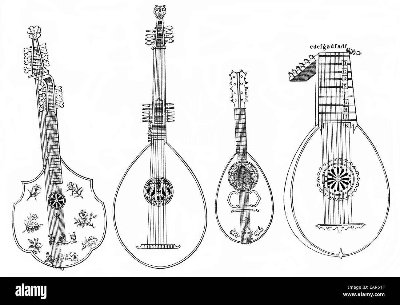 various forms of lute, mandolin and theorbo, old stringed instruments ...