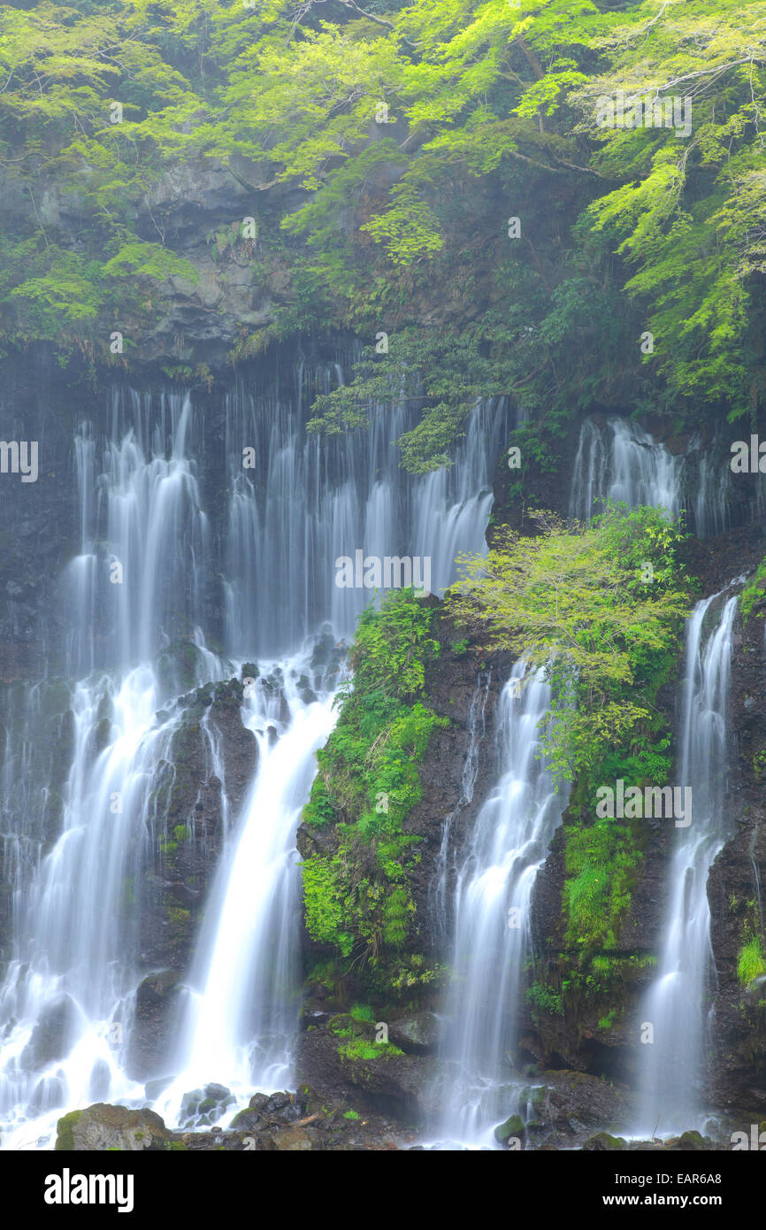 Shizuoka Prefecture, Japan Stock Photo - Alamy