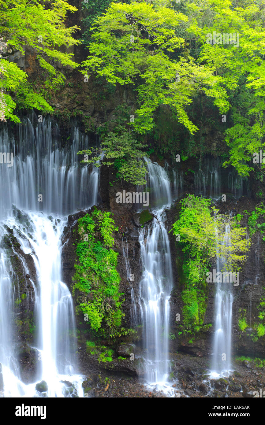 Shizuoka Prefecture, Japan Stock Photo - Alamy