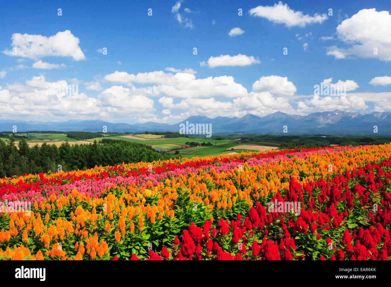 Tokachi japan hi-res stock photography and images - Alamy