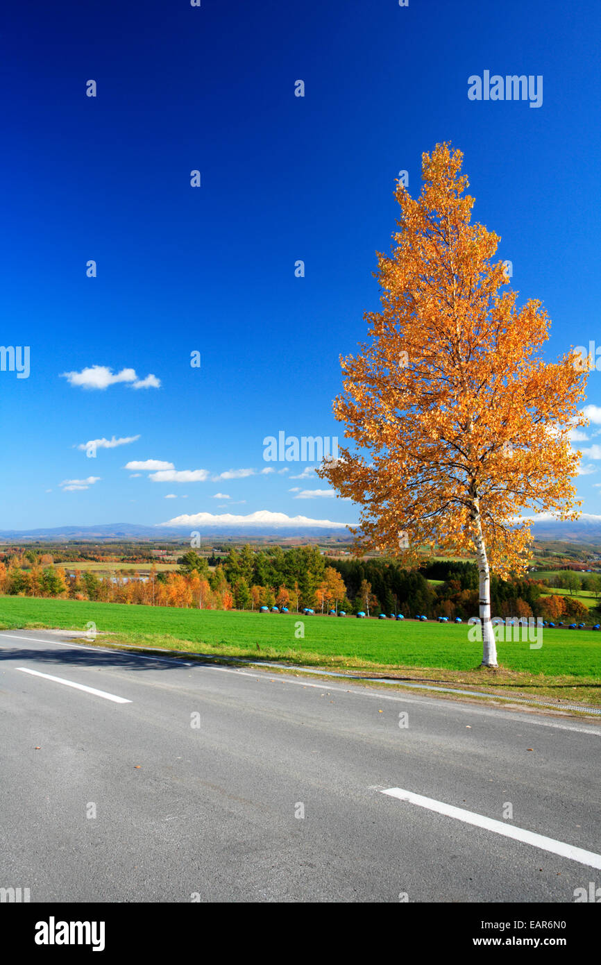 Mount furano hi-res stock photography and images - Alamy