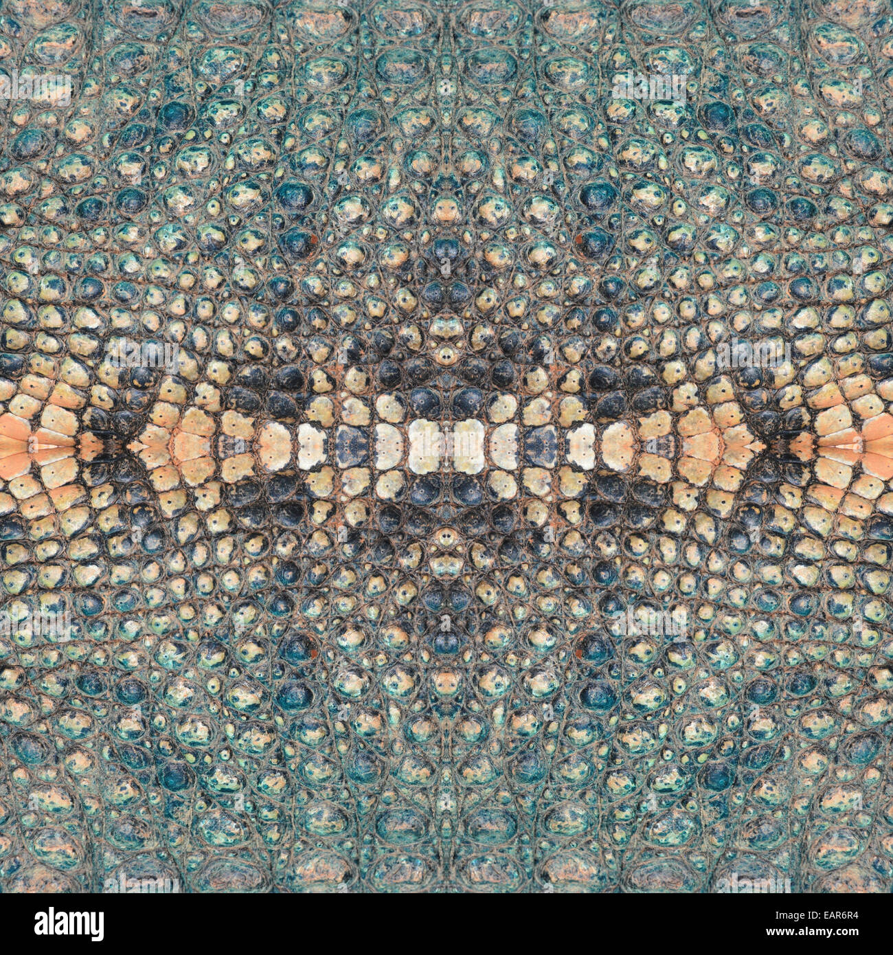 Crocodile pattern hi-res stock photography and images - Alamy