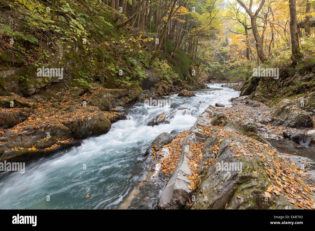Yokogawa valley hi-res stock photography and images - Alamy