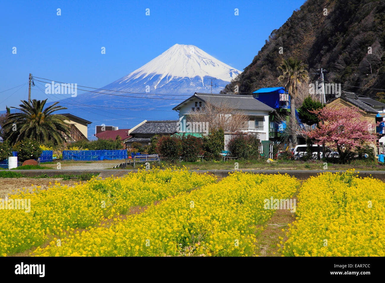 Shizuoka Prefecture, Japan Stock Photo - Alamy