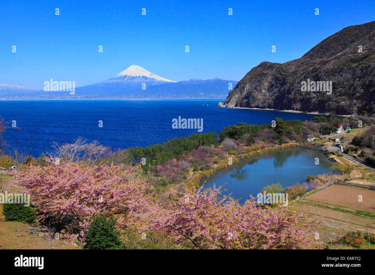Shizuoka Prefecture, Japan Stock Photo - Alamy