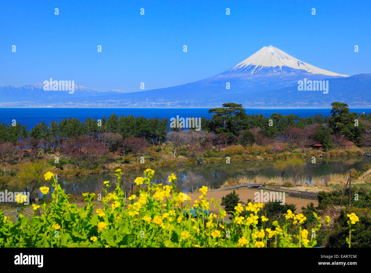 Shizuoka Prefecture, Japan Stock Photo - Alamy