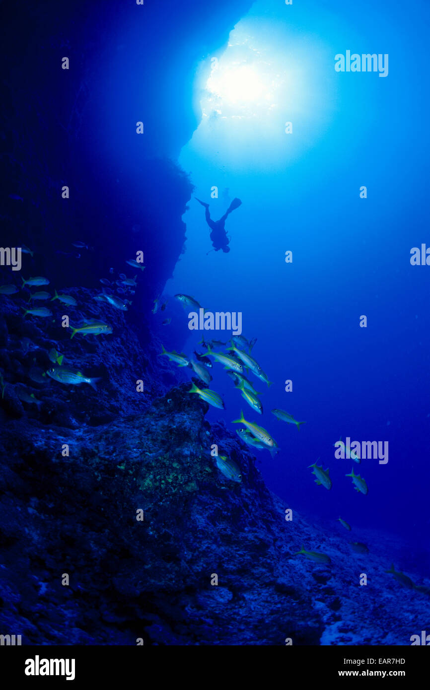 Drop off underwater hi-res stock photography and images - Alamy