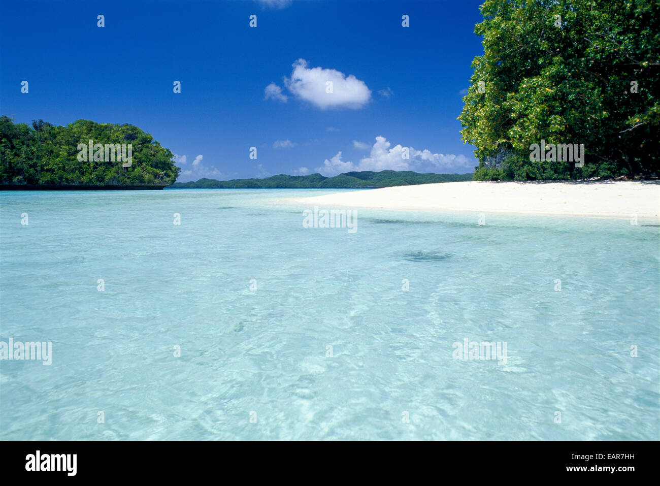 Beach, Republic Of Palau Stock Photo - Alamy