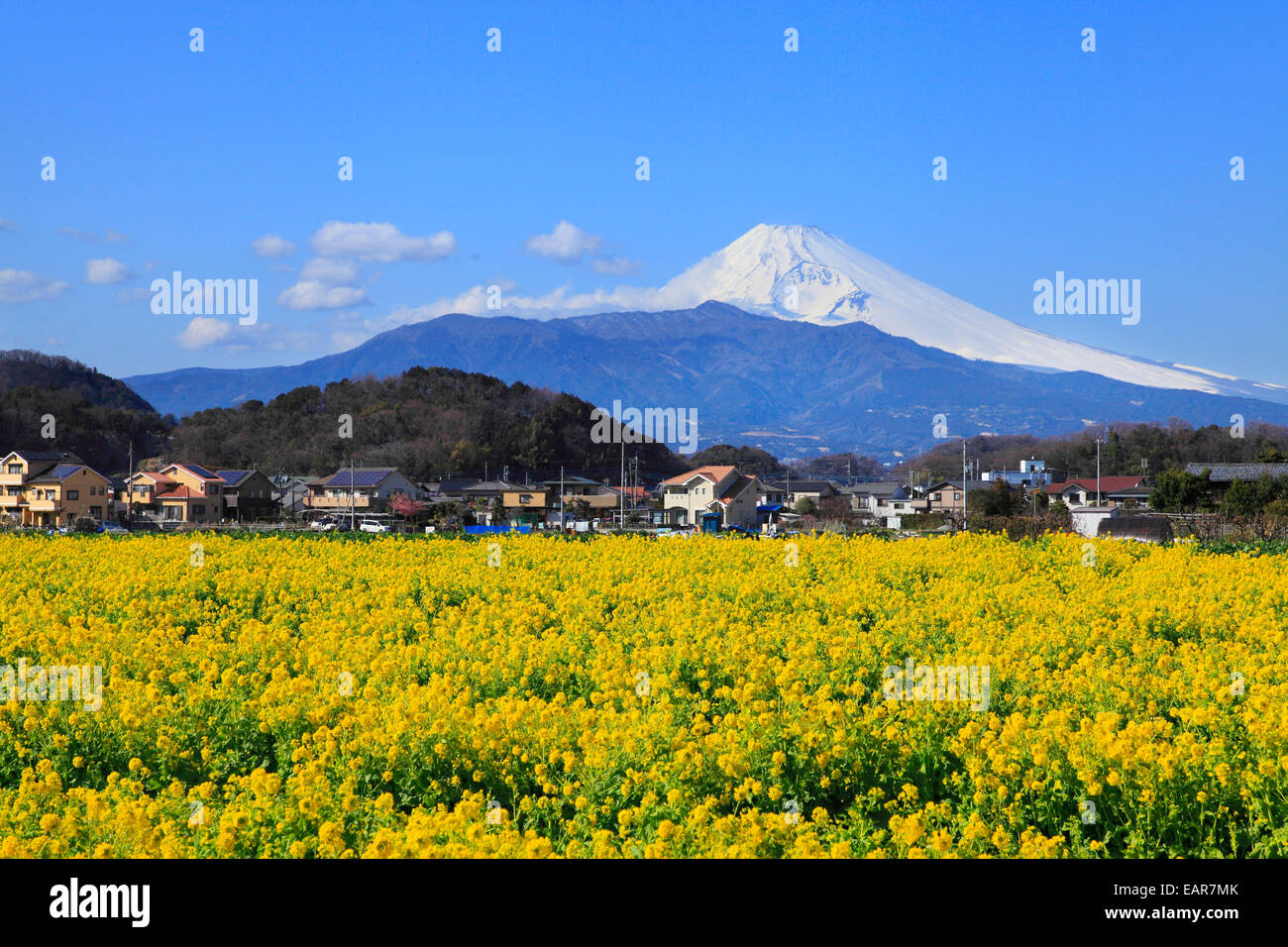 Shizuoka Prefecture, Japan Stock Photo - Alamy